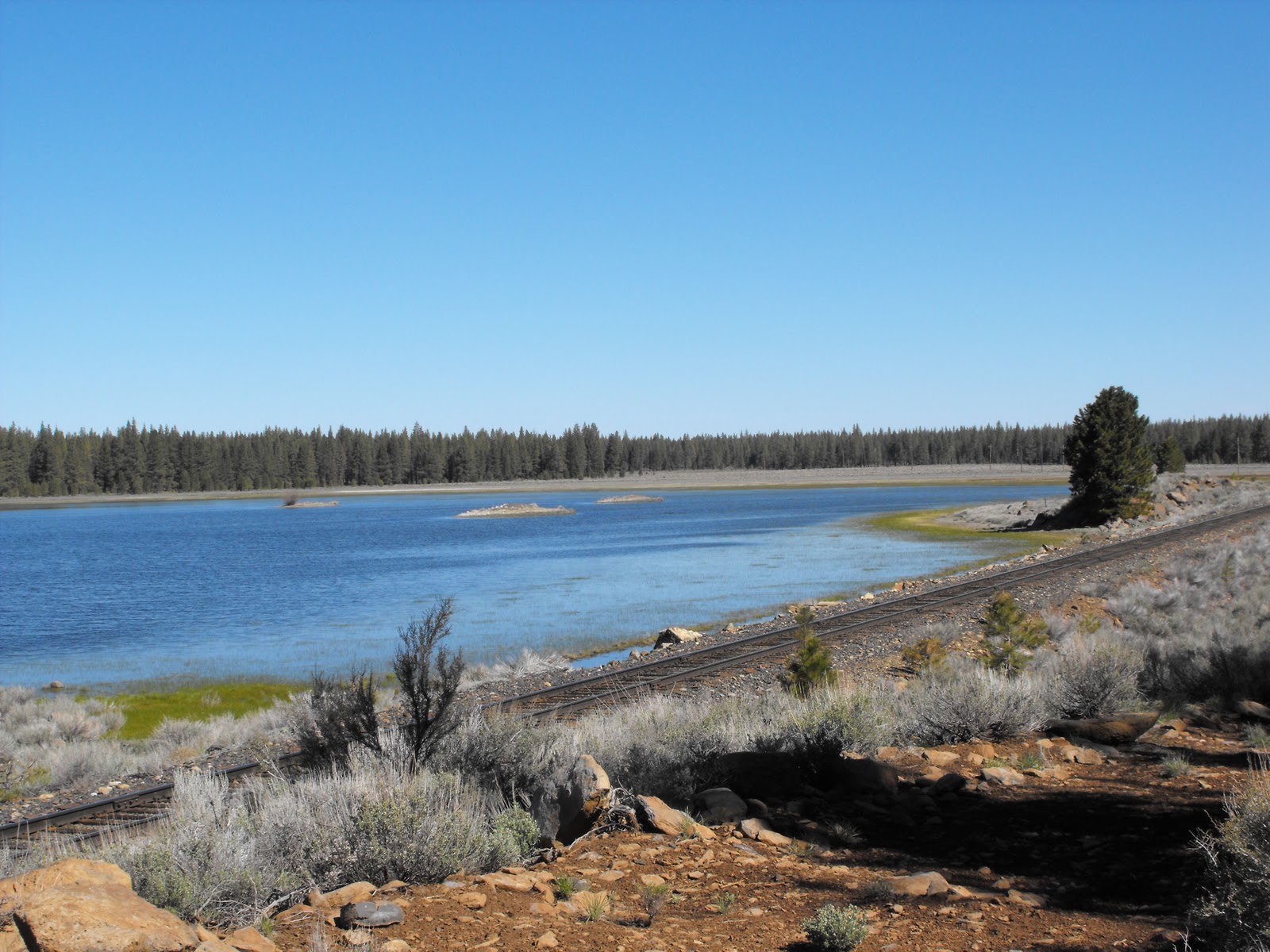 Our views of Northern California: Poison Lake -- Lassen County