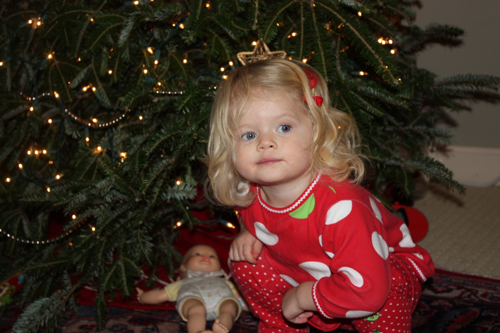 The Niemeyer Nest: 23 Months Old!