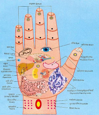 GOOD INFORMATION TO KNOW: THE PALM NERVES RELATED TO BODY PARTS