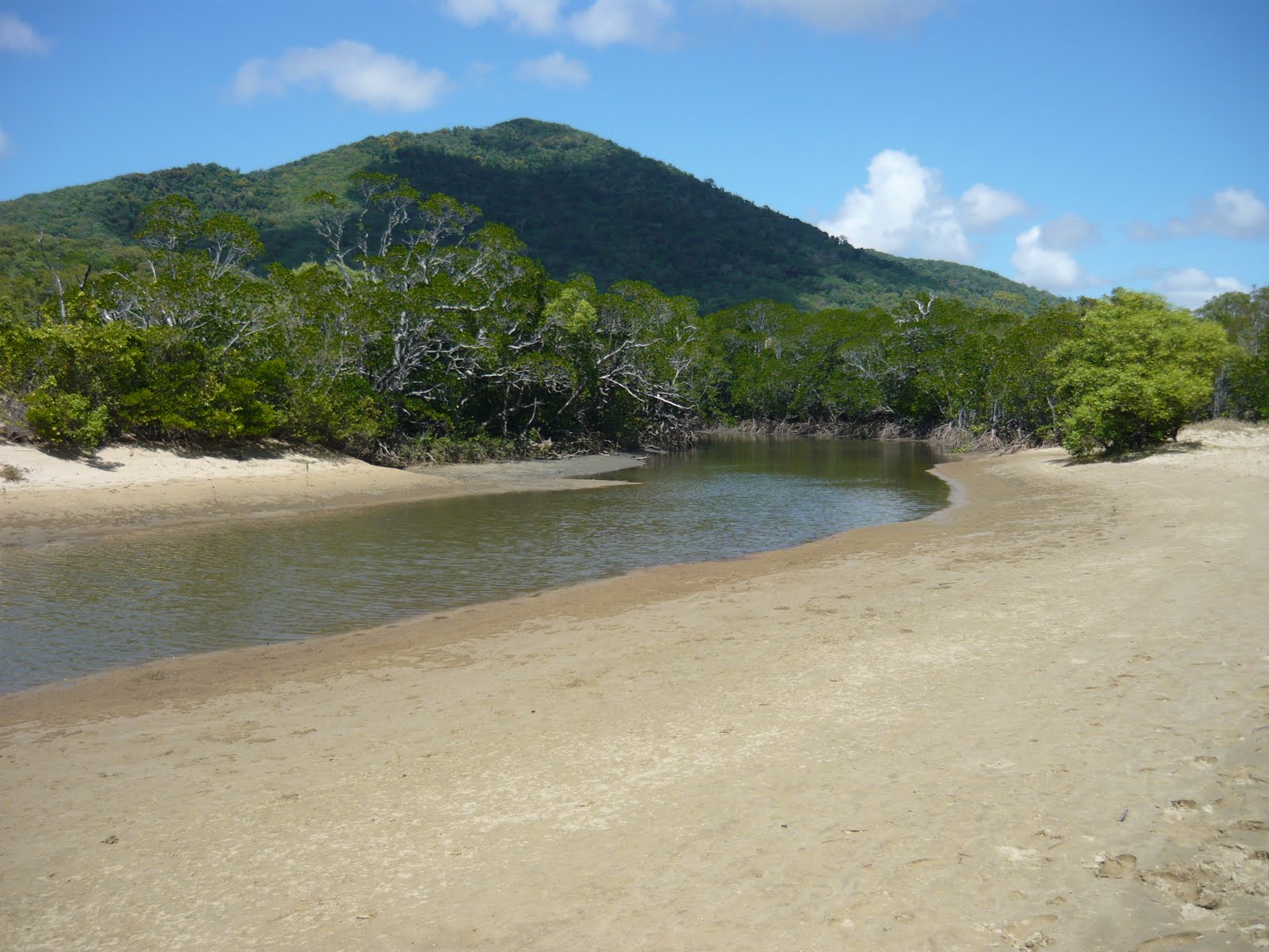Tropical North Queensland: Cairns to Cooktown