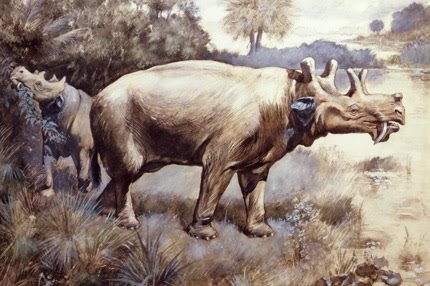 A Sketch a Day...: Behold! The Brontops!