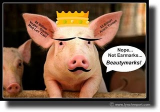 The WMRA Blog: My, what big earmarks you have