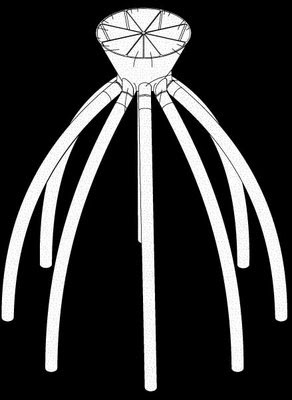 Drinking Knoxville: Friday Mess