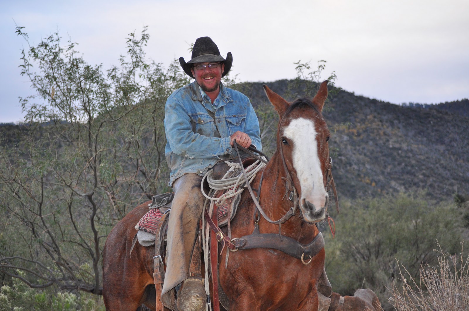 John's Photos: Arizona working Cowboy