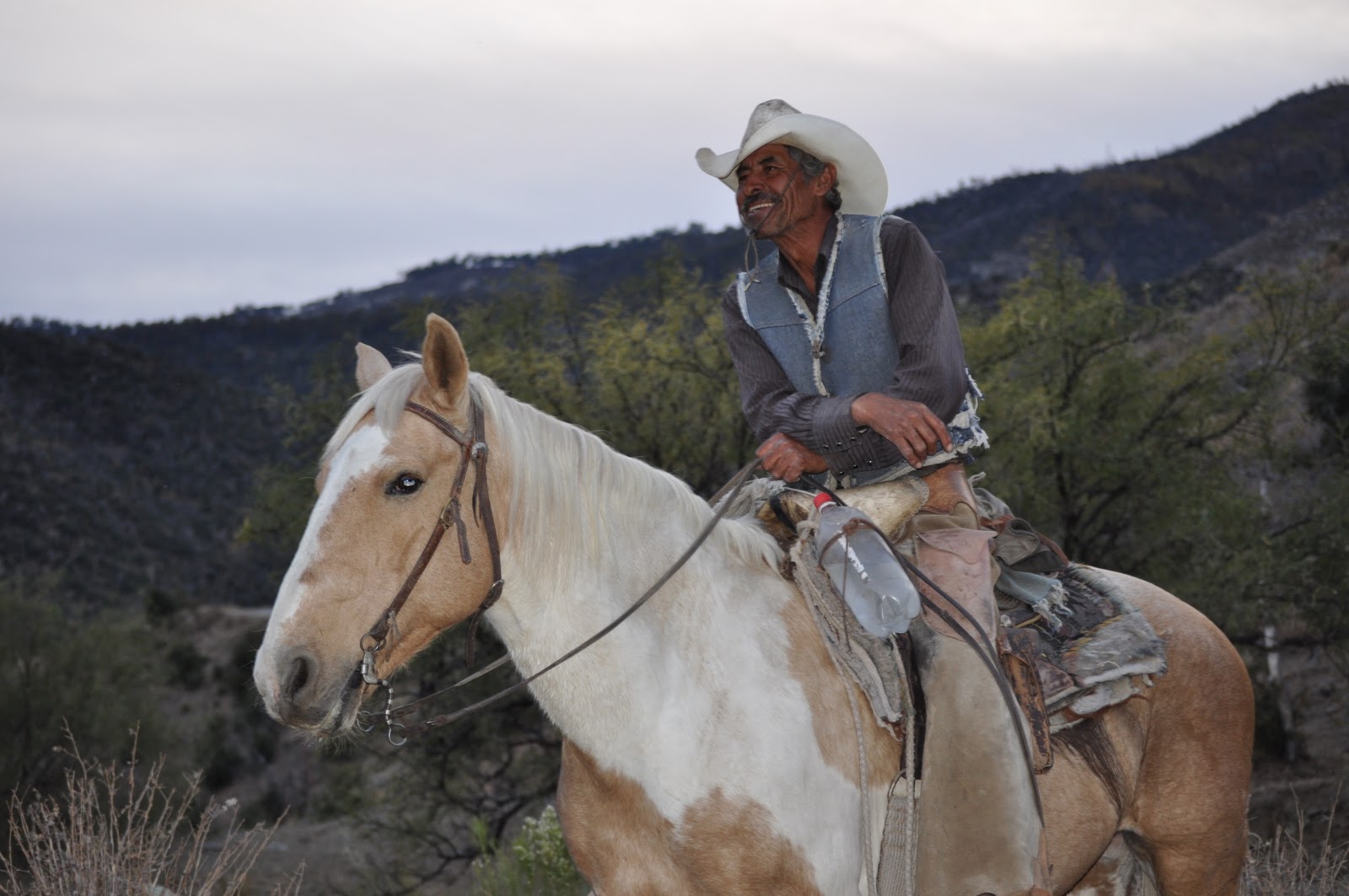 John's Photos: Arizona working Cowboy