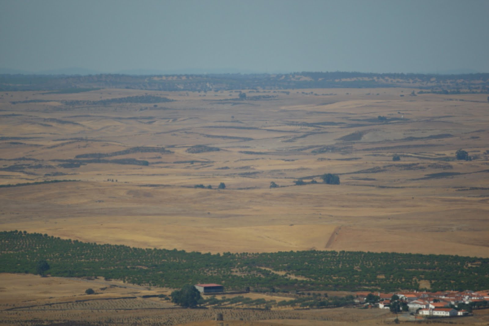 A Walk On The Wildside/Paul Foster.: The Alentejo region of Portugal!!!