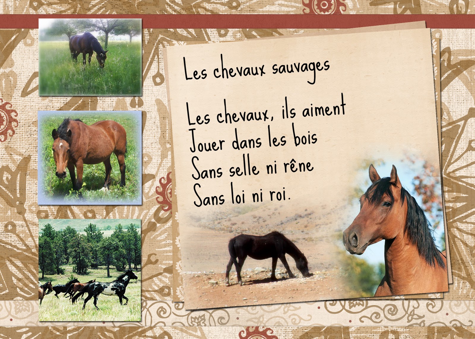 Ma petite école maison: Poésie cavalière