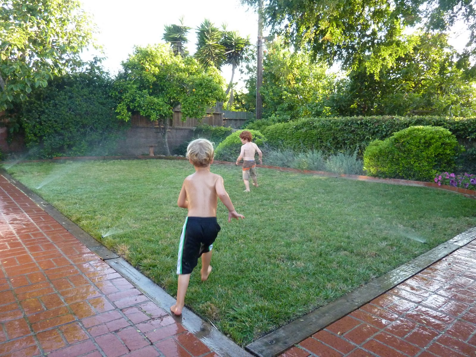 Mike, Talisha, and Braedyn Davis: Back yard sprinkler fun.