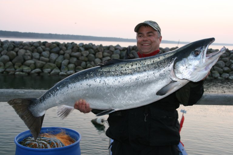jussi's gone fishing: Giant salmon caught 2008 from Rügen, Germany.
