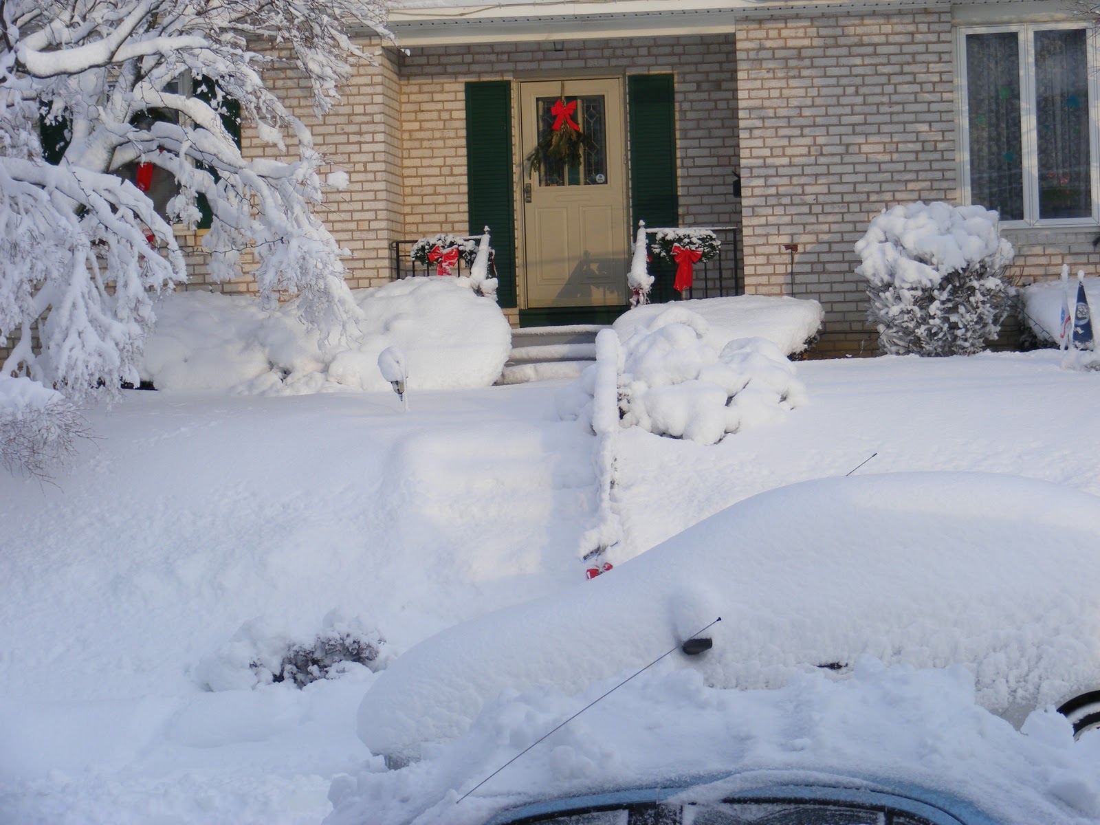 A New Day: January 2011