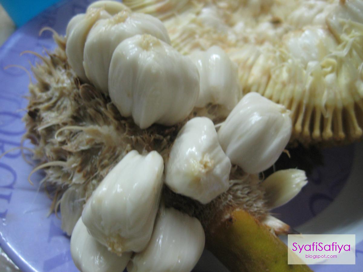 Syafi Irfani, Safiya Imani, Safwan Rahmani & Syifa Hana Amani: Local ...