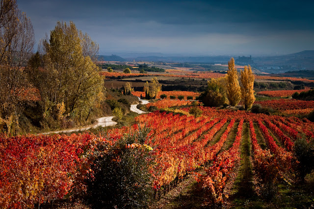 PEPITORIO: La Rioja