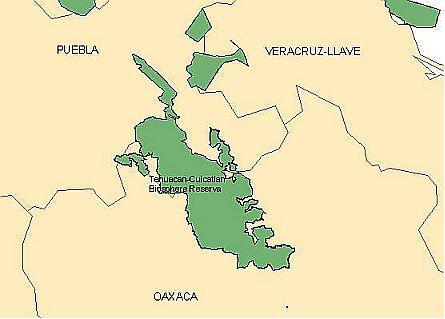 Reserva de la Biosfera Tehuacán-Cuicatlán