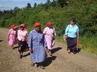 NOTICIAS DEL INAM: UNA VISITA TIERRA ADENTRO DE INTIBUCÁ