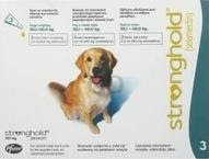 Pet Care Mart: Product Spotlight - Stronghold for Dogs