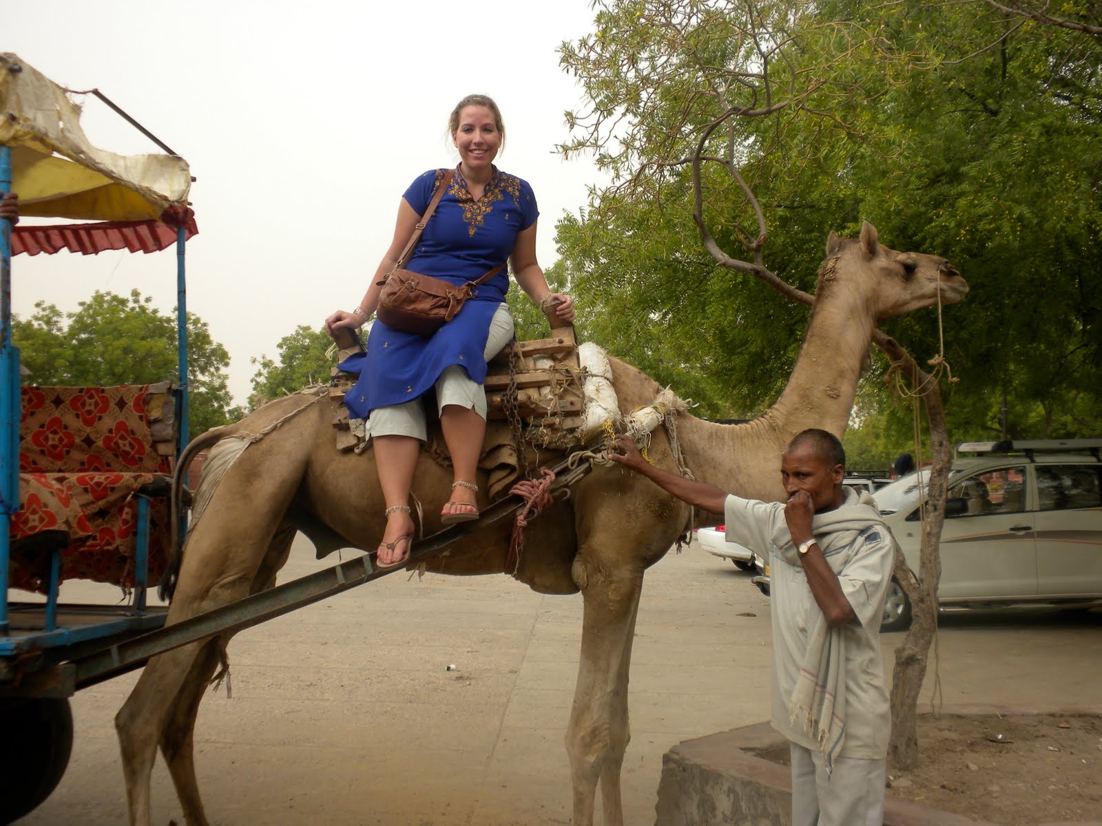 Oh the Places You'll Go...: Taj, Elephants, Camels...what else can we ...
