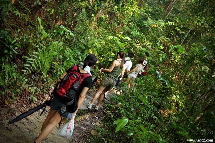 Kelab Rekreasi KPTM KCI: Next Activity: Jungle Tracking Day!!