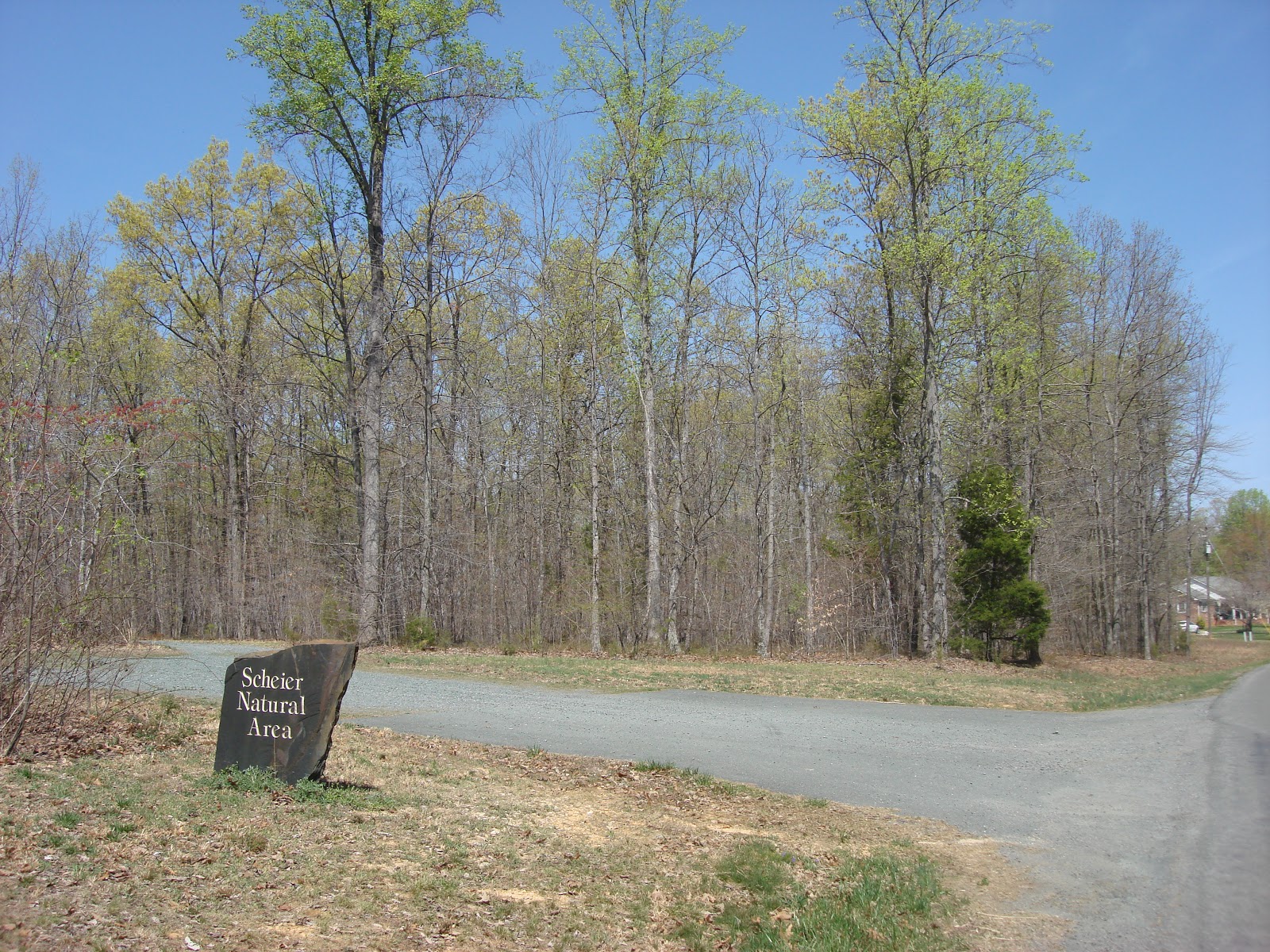 Wandering Virginia: Scheier Natural Area - April 4, 2010