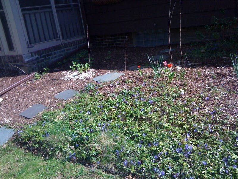 Blah, Blah, Blah, Blah, Blog