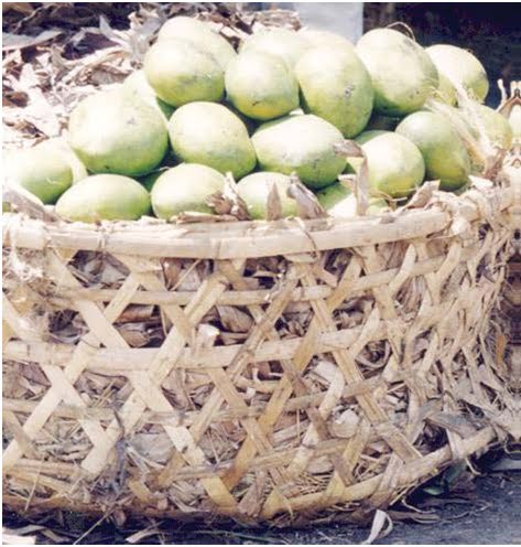 MITIKI -KILIMO KWANZA: KILIMO BORA CHA MAEMBE