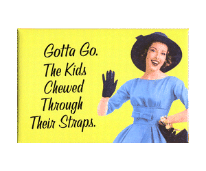 A Day in the Life: January 2011