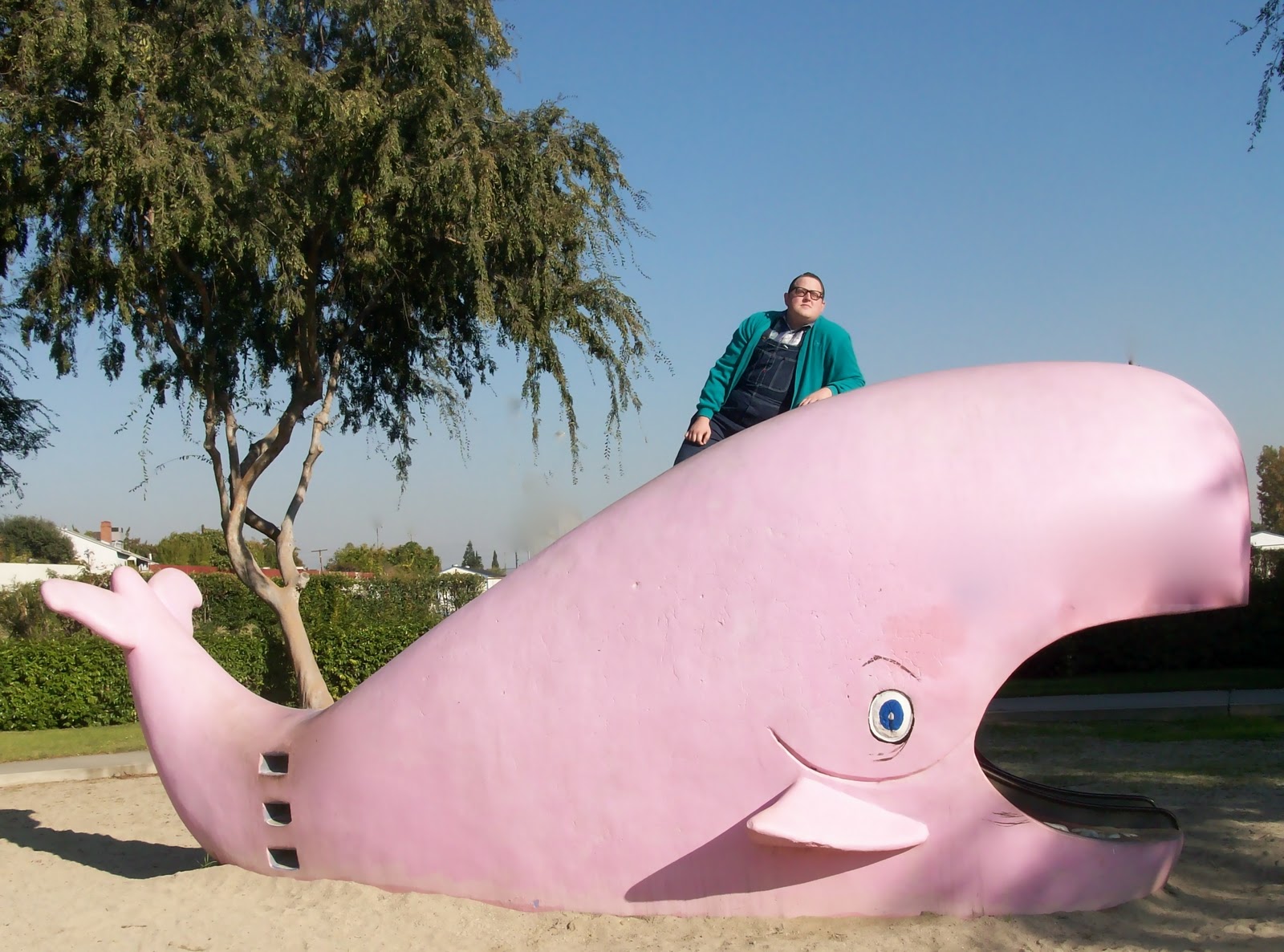 wacky tacky: wacky tacky: a primer