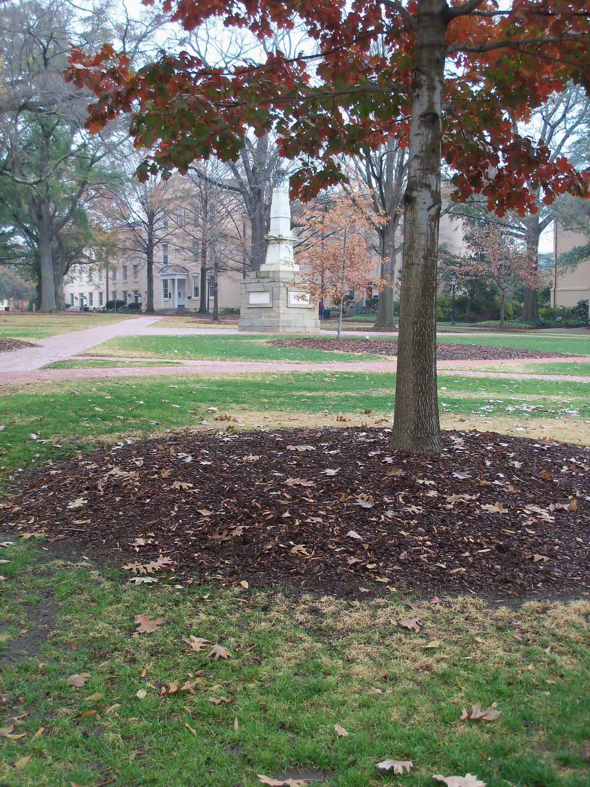 Kim's County Line: From Limestone to Brick