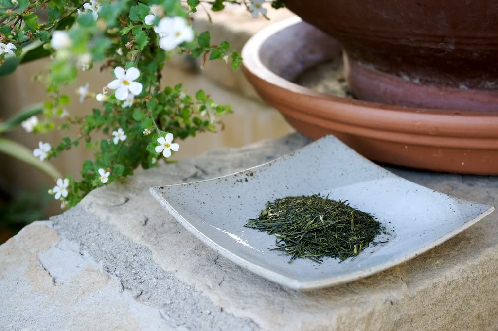 Articles and Informations about Tea: Shincha, Green Tea from Japan