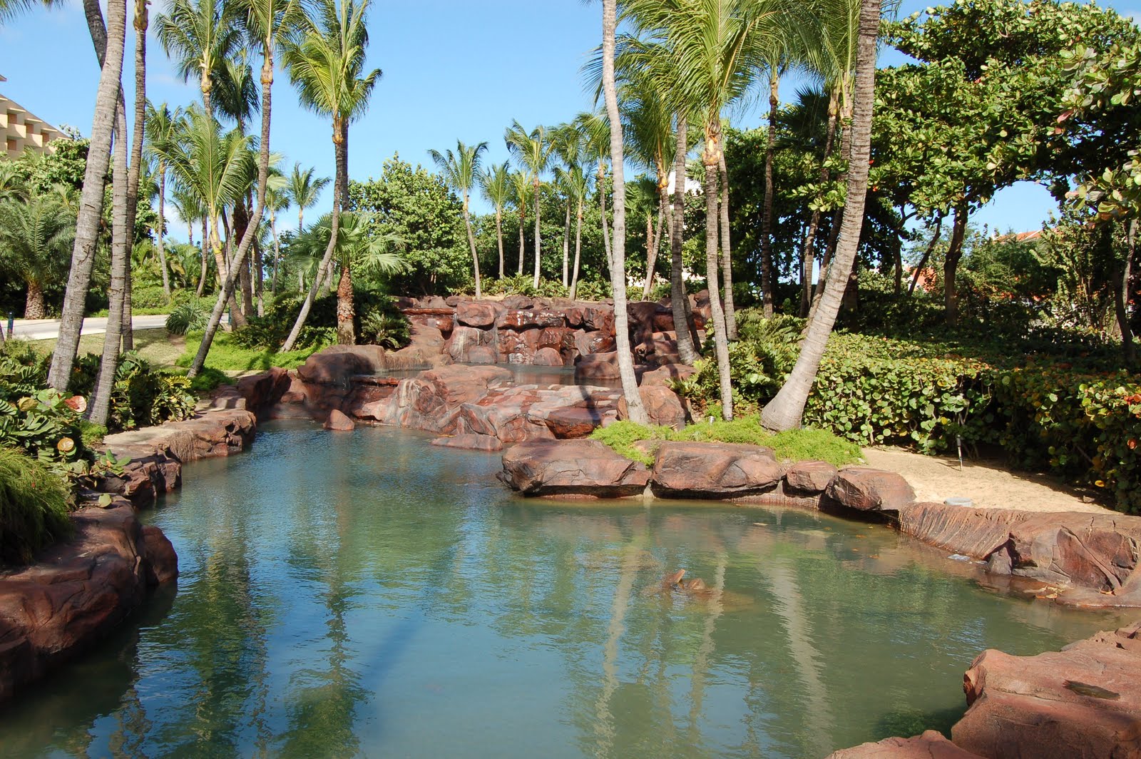 Mummelbloggen: Aruba with a view