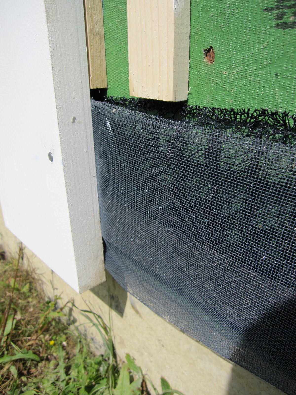 House: Initial siding work