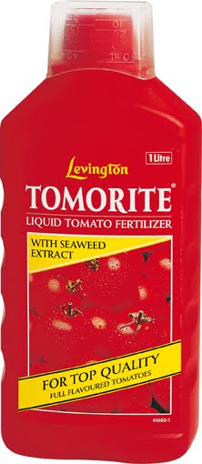 St. Bridget's News: August 2010