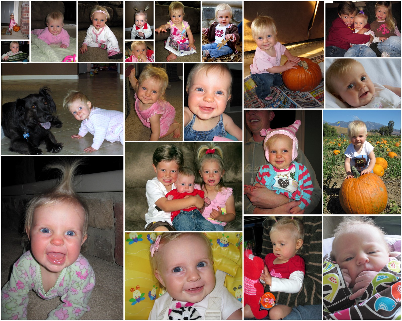 Two Zany Zebras: Silly Jilly is 365 days old!