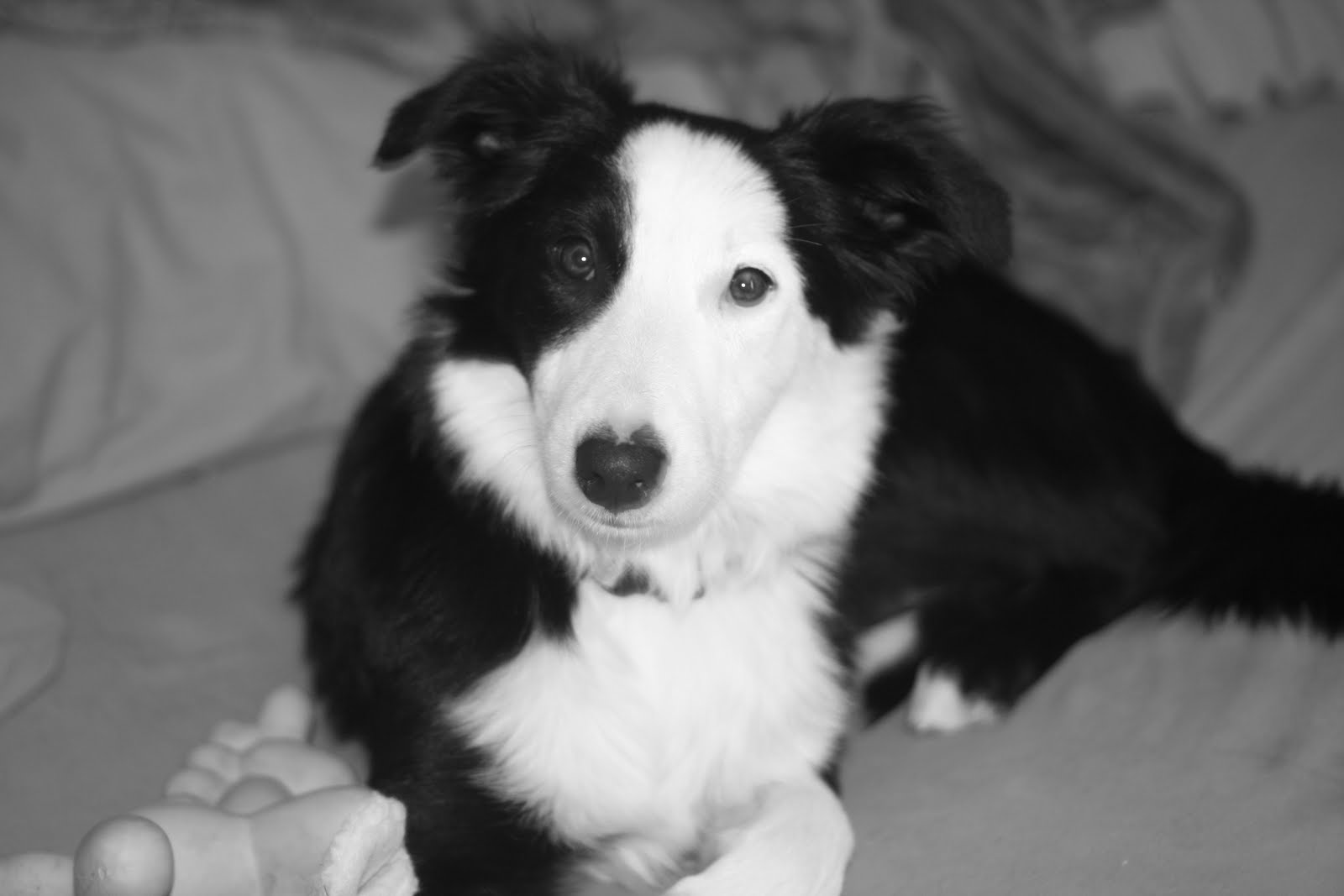 Beth Mitchell Photography