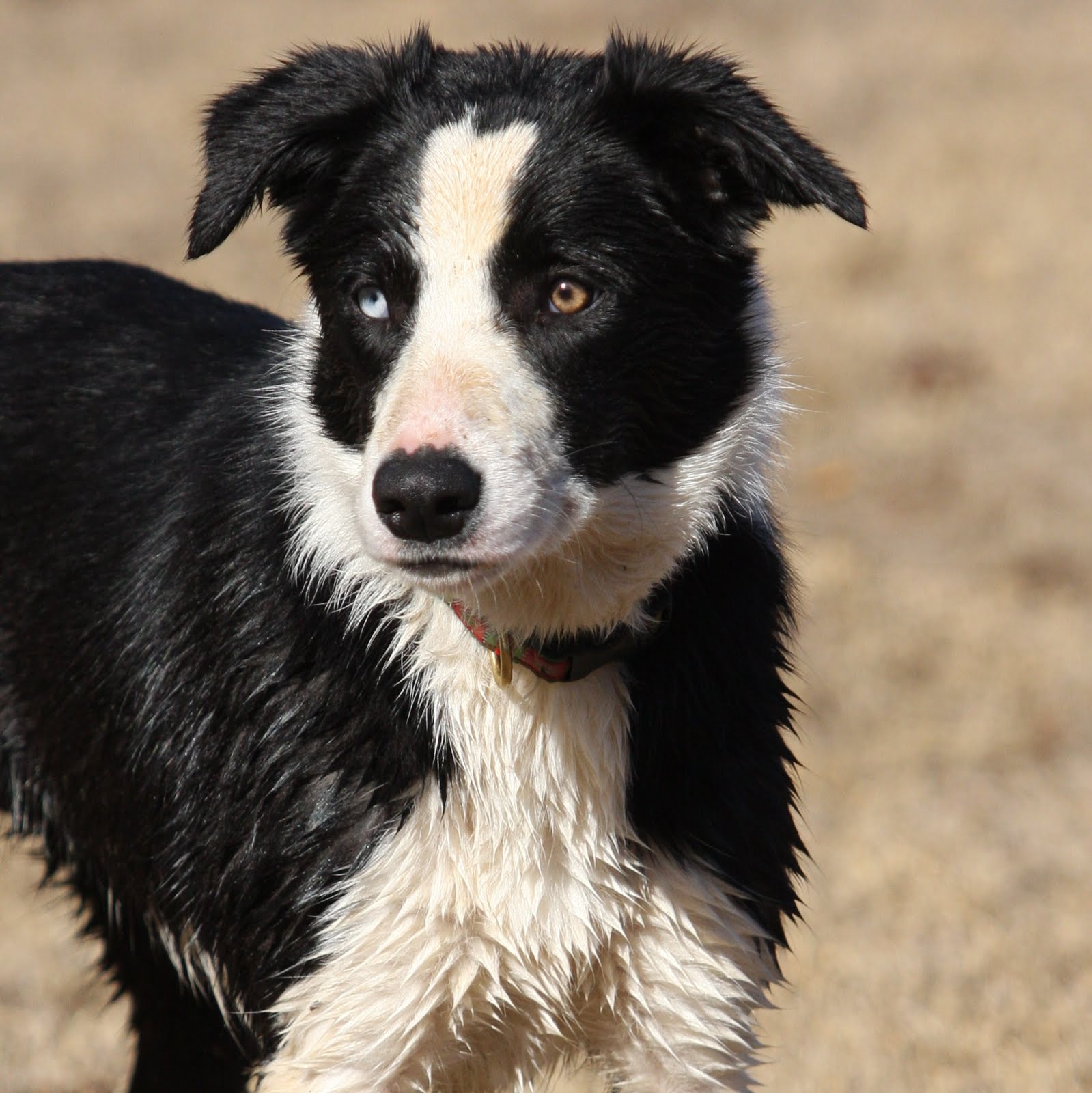 Beth Mitchell Photography