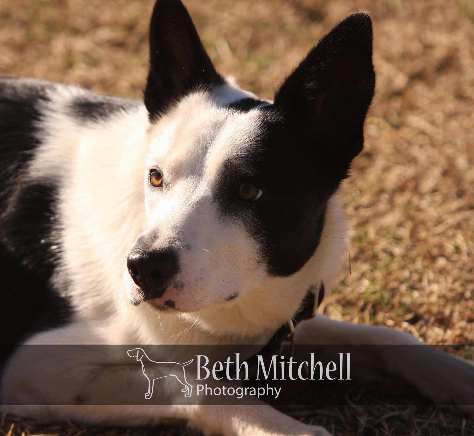 Beth Mitchell Photography