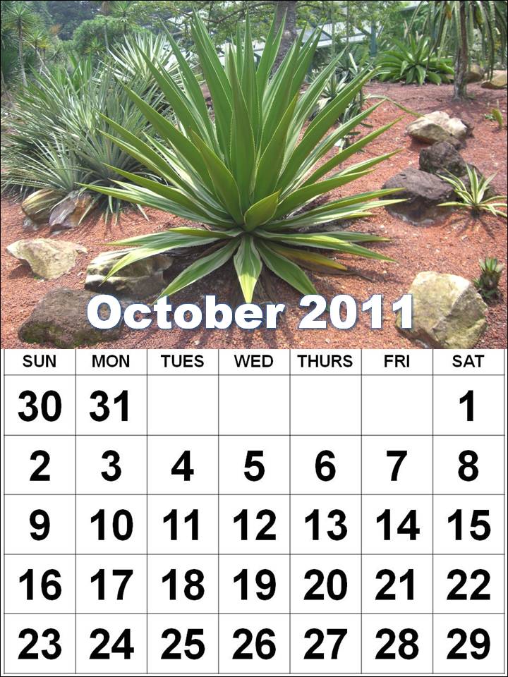 dersramerep: 2011 Calendar October