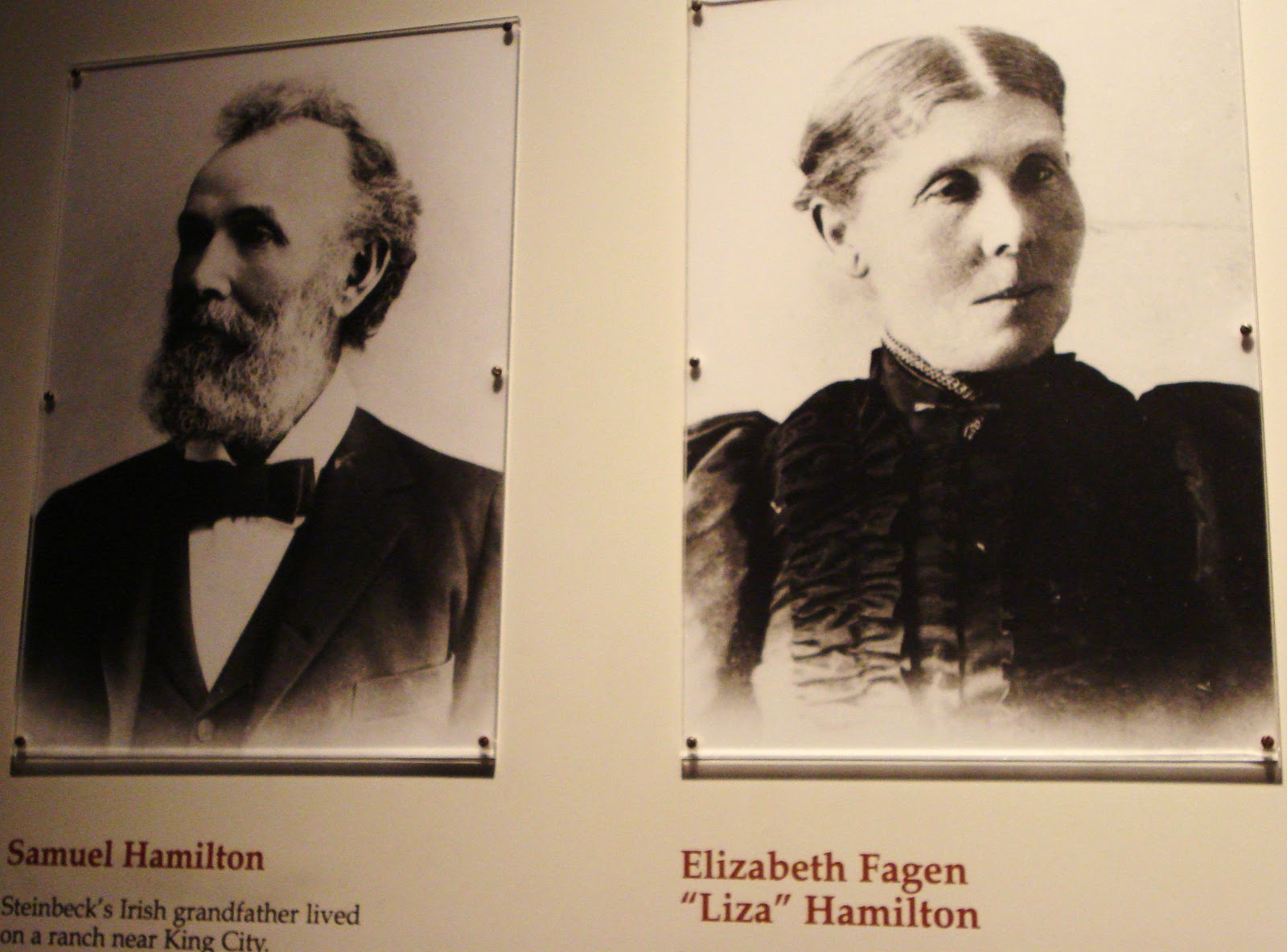 A ship made of books: East of Eden (John Steinbeck)