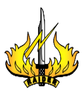 Brigif 9: Logo Raider