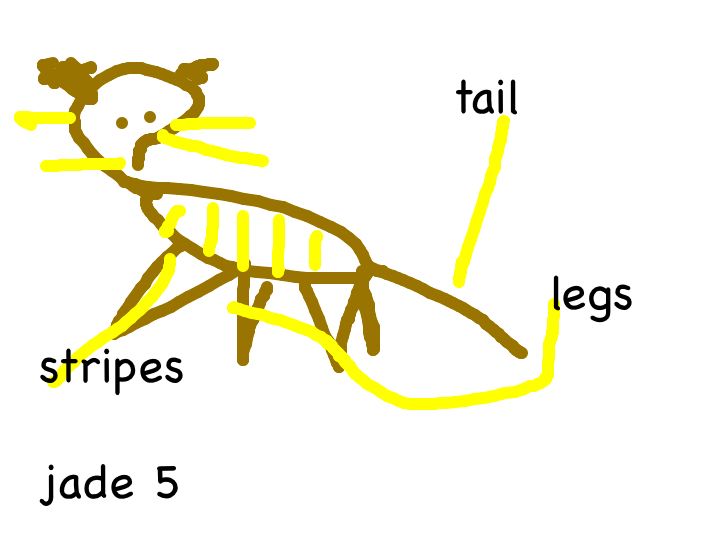 Welcome to Room 5 Randwick Park: Tiger Pictures & Labels