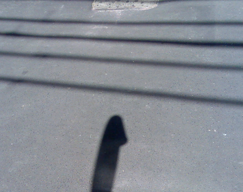 CockShadows: Large Headed Cock Shadow