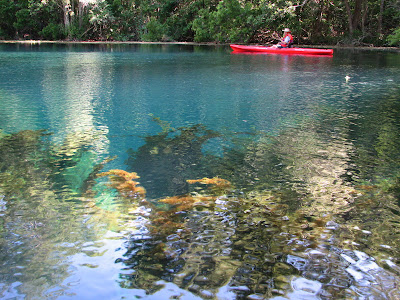 Florida Recreation: Kayaking on the Wacissa River