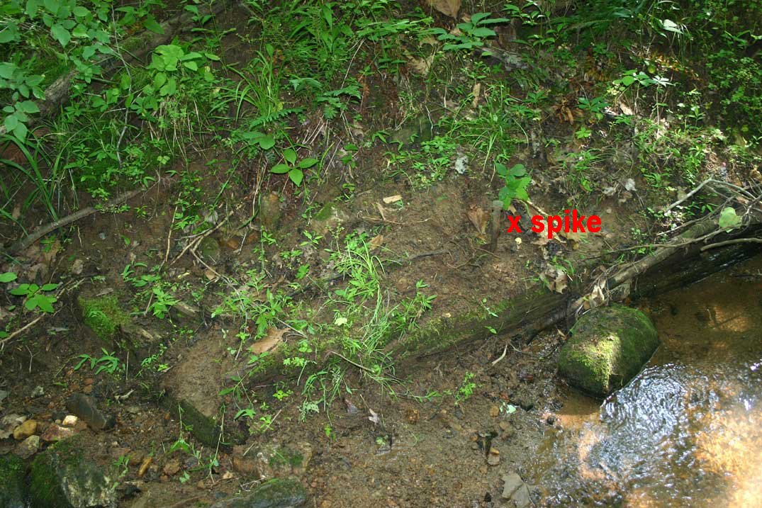 Daniel Crider's Mill: Exploring the Mill Site on Frying Pan Creek