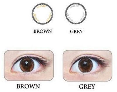 GEO Contact Lenses......: GEO Contact Lens....