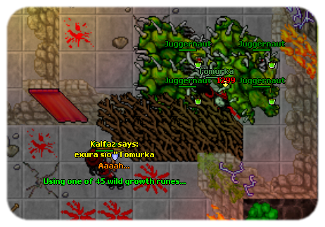 Extreme Tibia: Top Fotos