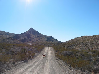 Greg's Running Adventures: Quitman Canyon Run 26 Dec 2009