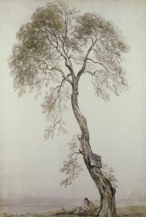Poems and Short Stories to Read Online: January 2011