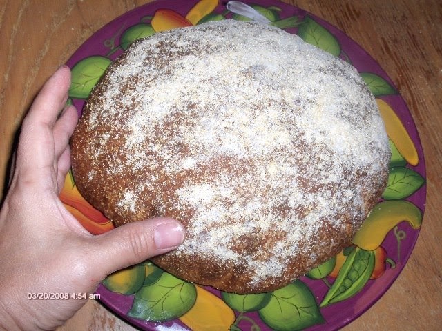 Starlight In Her Eyes: PAGNOTTA, Italian Round Country Bread