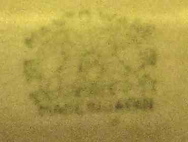 Freddy's Girls China Collection: Manto ware chintz toast rack