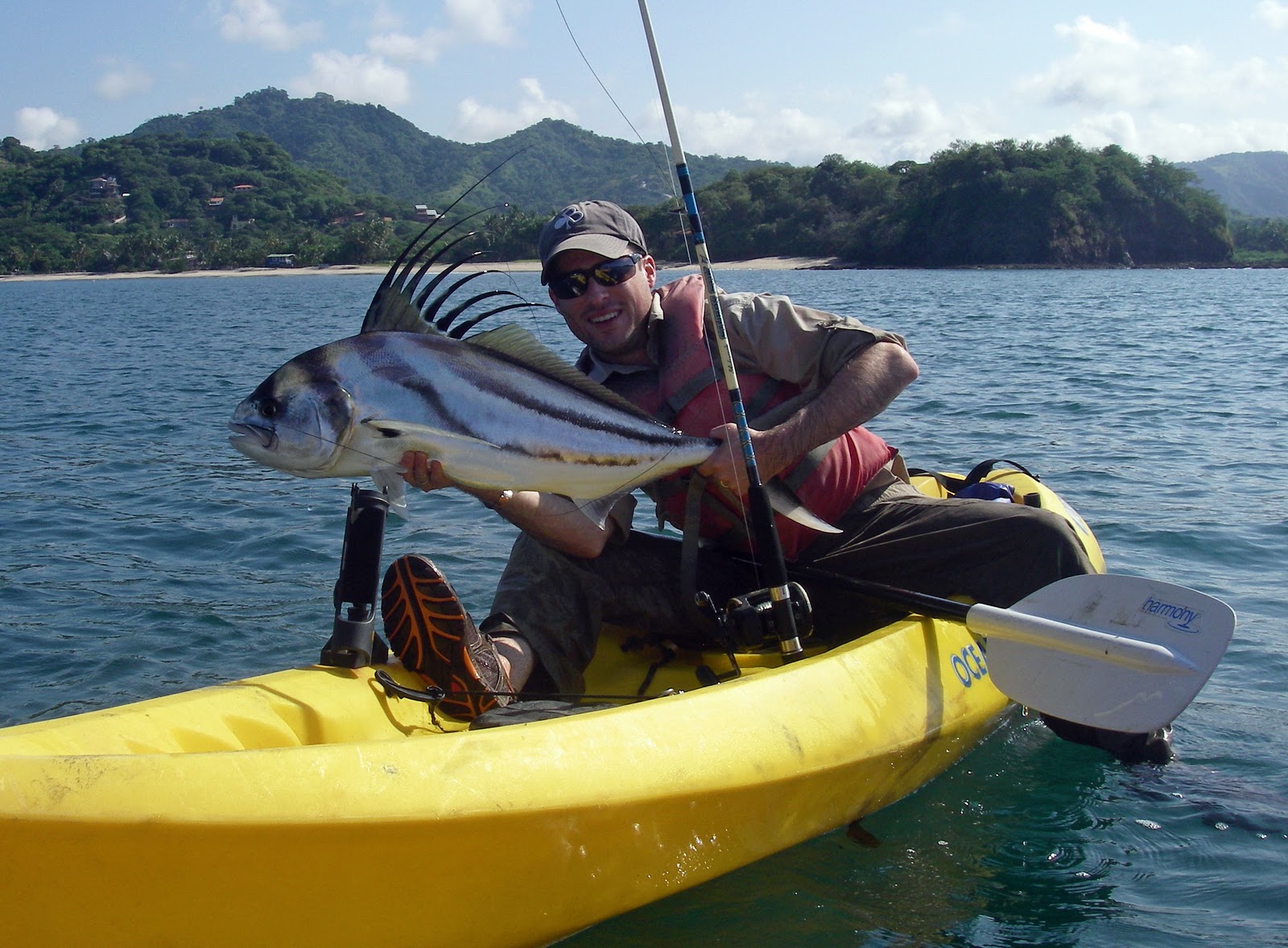 The Connecticut Yankee: Roosterfish