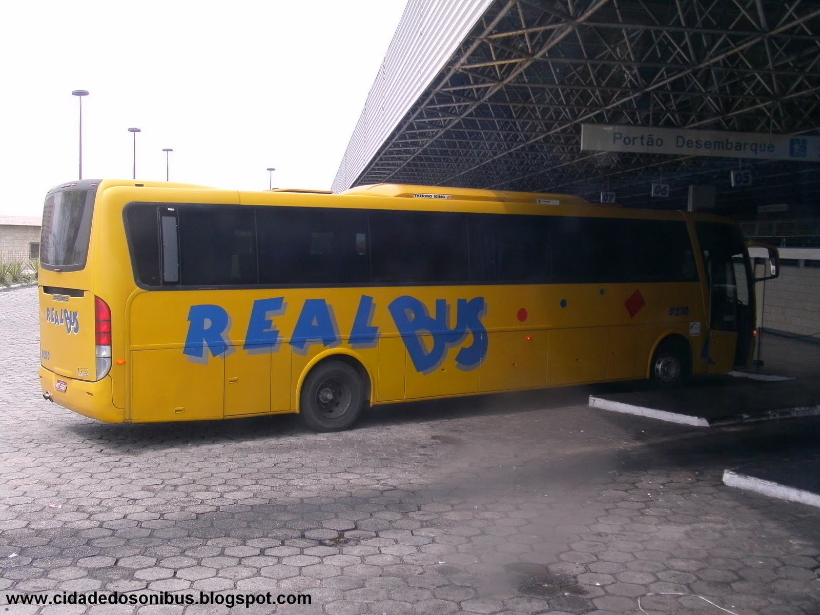 Real Bus